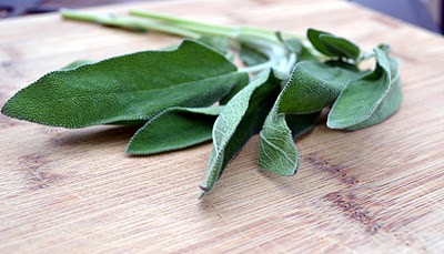 How to Fry Sage - The Little Ferraro Kitchen