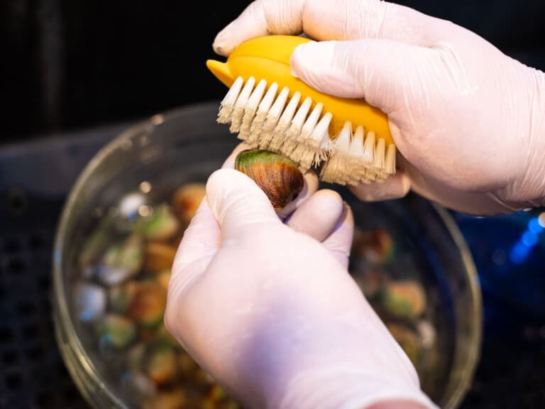 How to Clean Clams - The Little Ferraro Kitchen