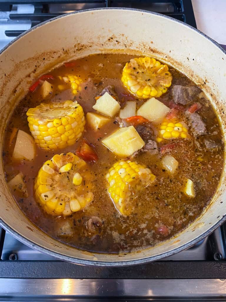 Argentinian Beef Stew - The Little Ferraro Kitchen