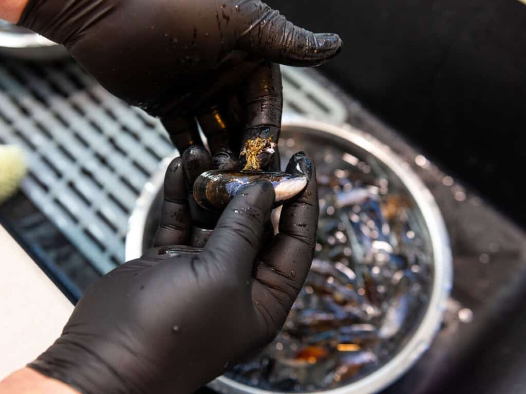 How to Clean Mussels - The Little Ferraro Kitchen