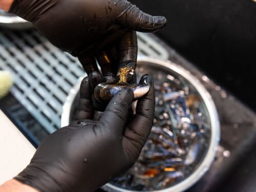How to Clean Mussels - The Little Ferraro Kitchen